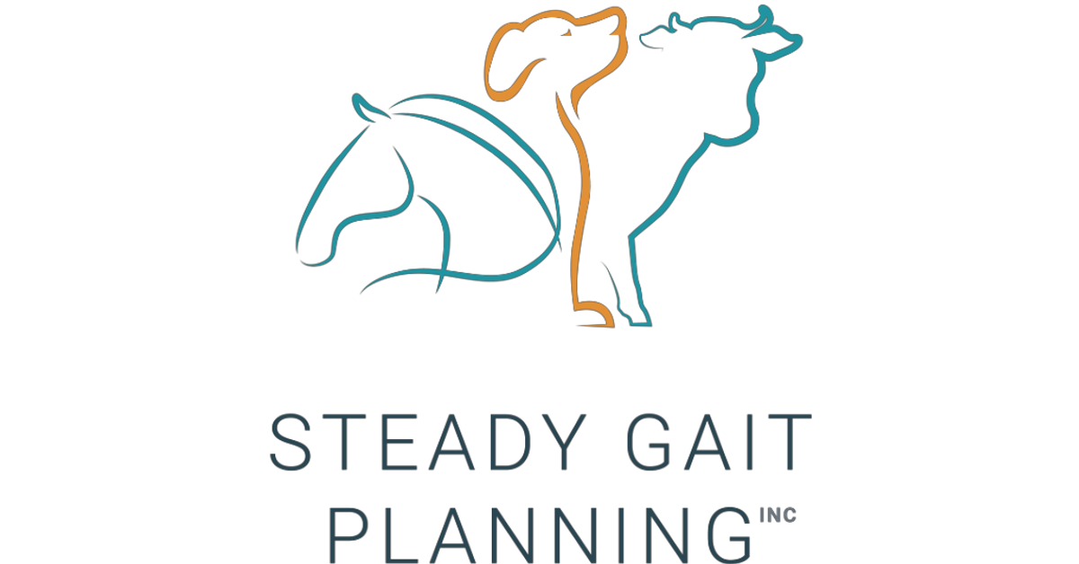 steady-gait-planning
